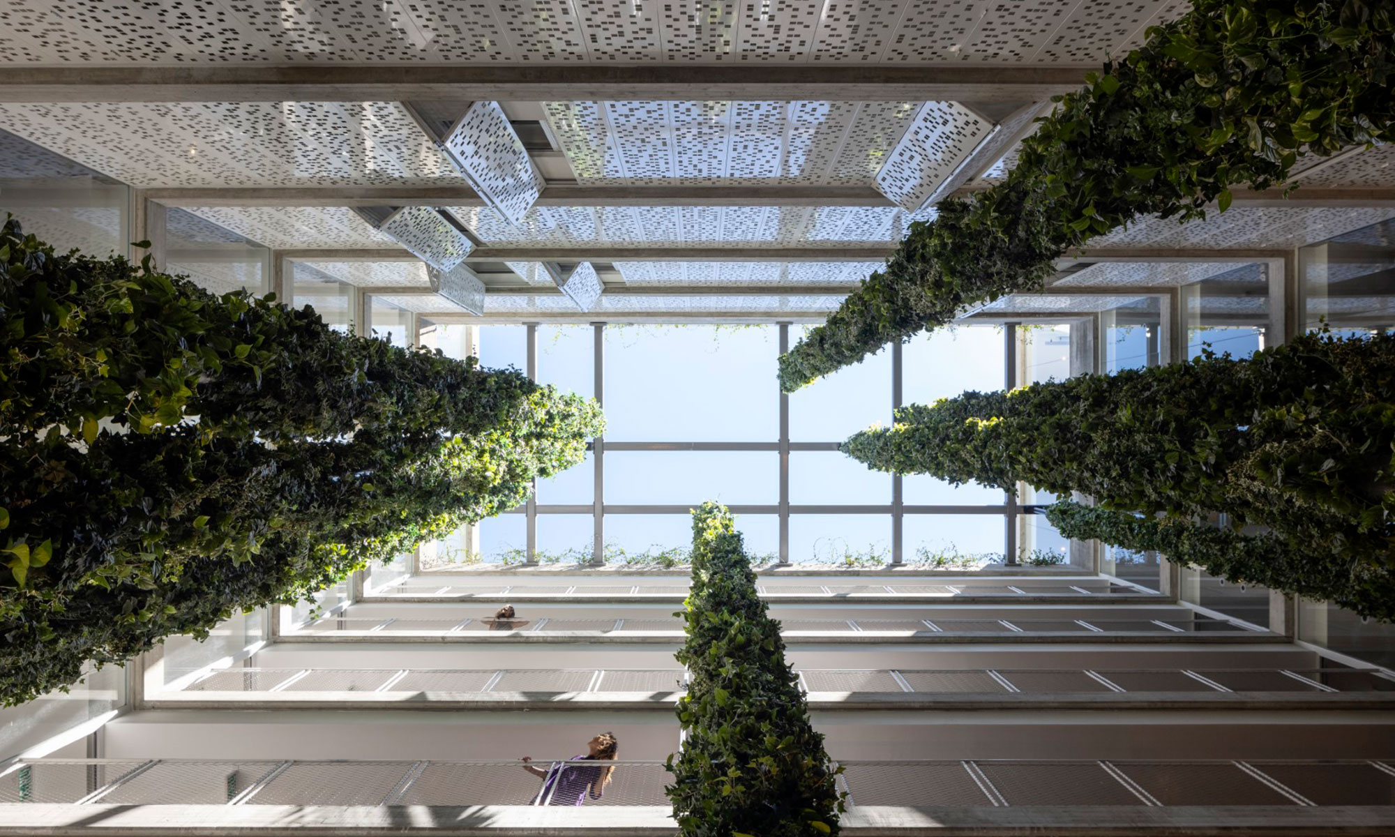 13 Ahad Ha'Am - Pitsou Kedem